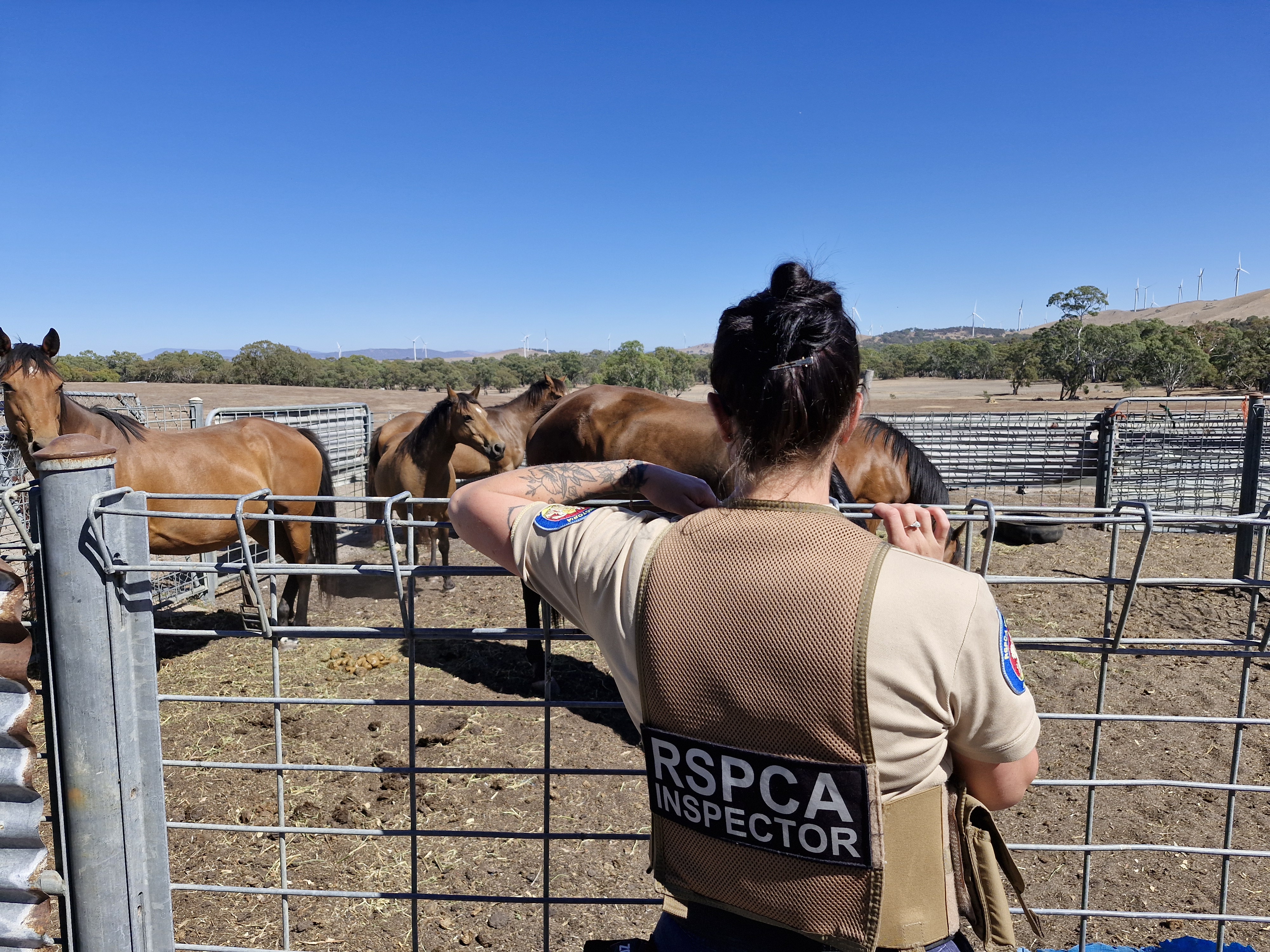 RSPCA Report 2024/25 - 102.1 & 93.3 Edge FM Wangaratta